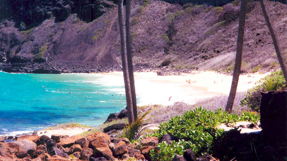 Winnie Tham – Fuscoe Engineering, Inc.